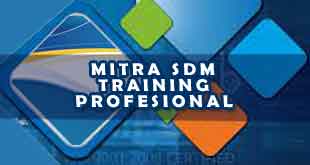 MS EXCEL – MS PROJECT – POWERPOINT – Mitra SDM Training Profesional